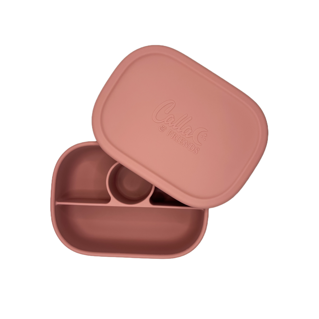 Hayden Bento Boxes – Calla and Friends