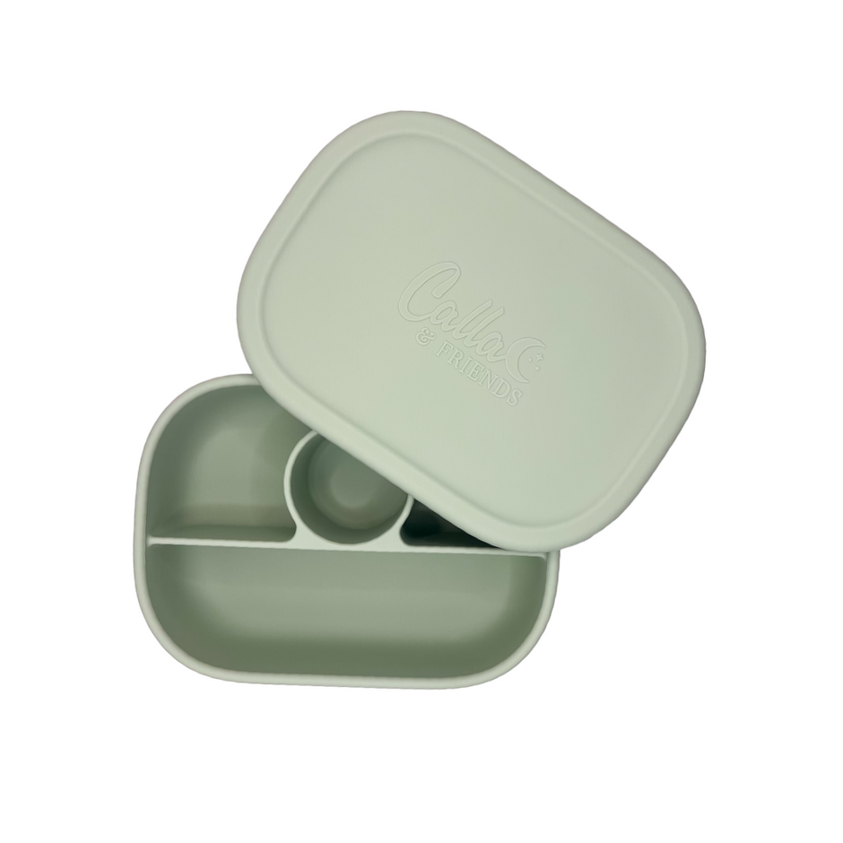 Hayden Bento Boxes – Calla and Friends